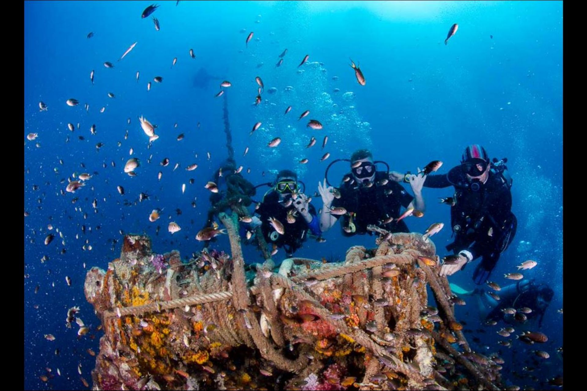 SEAFARER DIVERS | Phuket day dive trip to King Cruiser Wreck and Shark ...