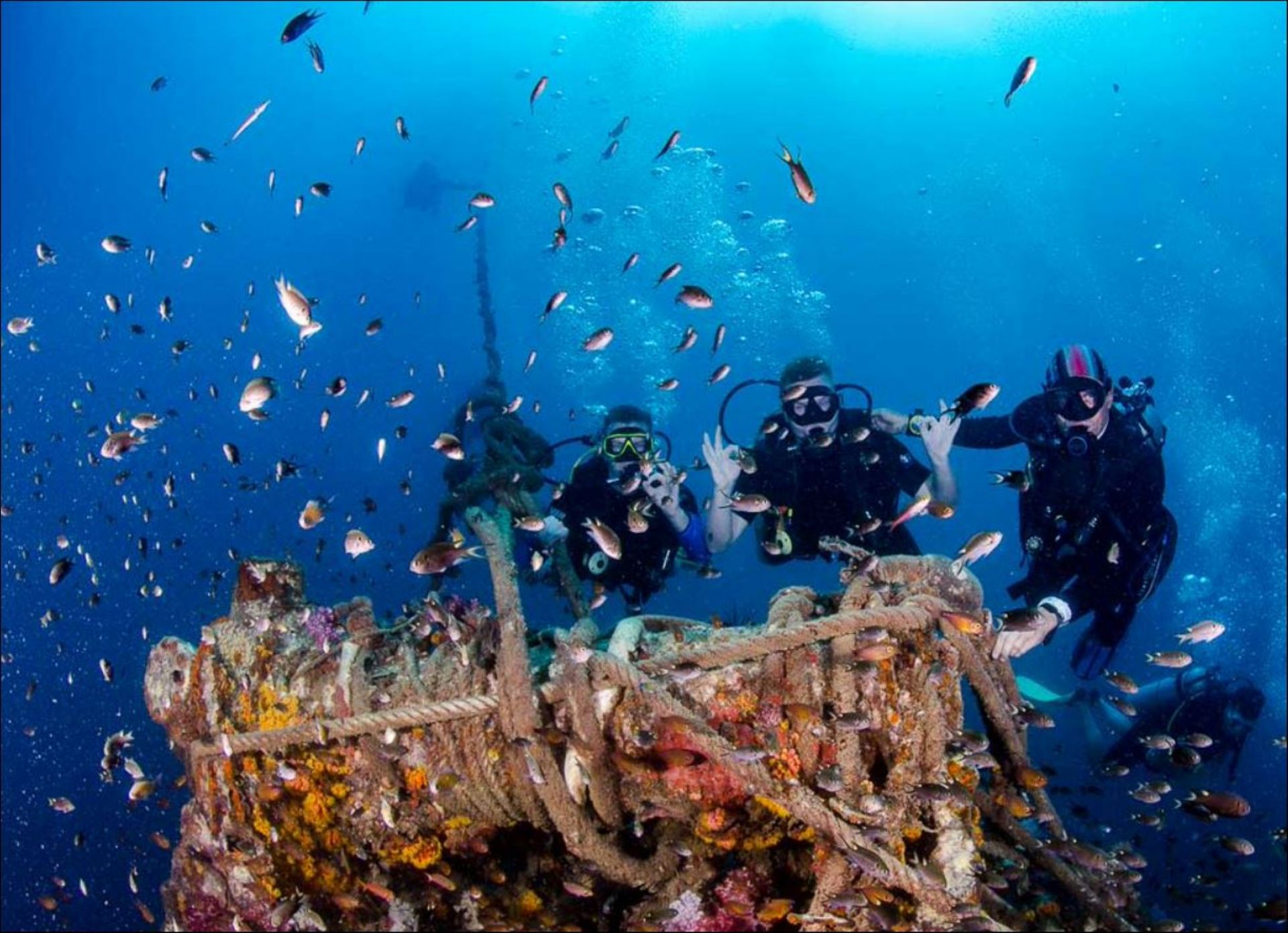 SEAFARER DIVERS | Liveaboard and day diving trips to King Cruiser Wreck ...